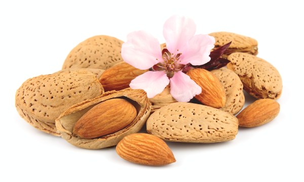 Almond – Purpose – Tree Spirit Wisdom
