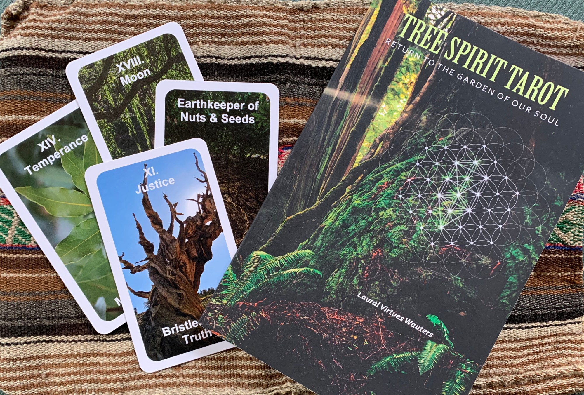 Hemlock – Grace – Tree Spirit Wisdom