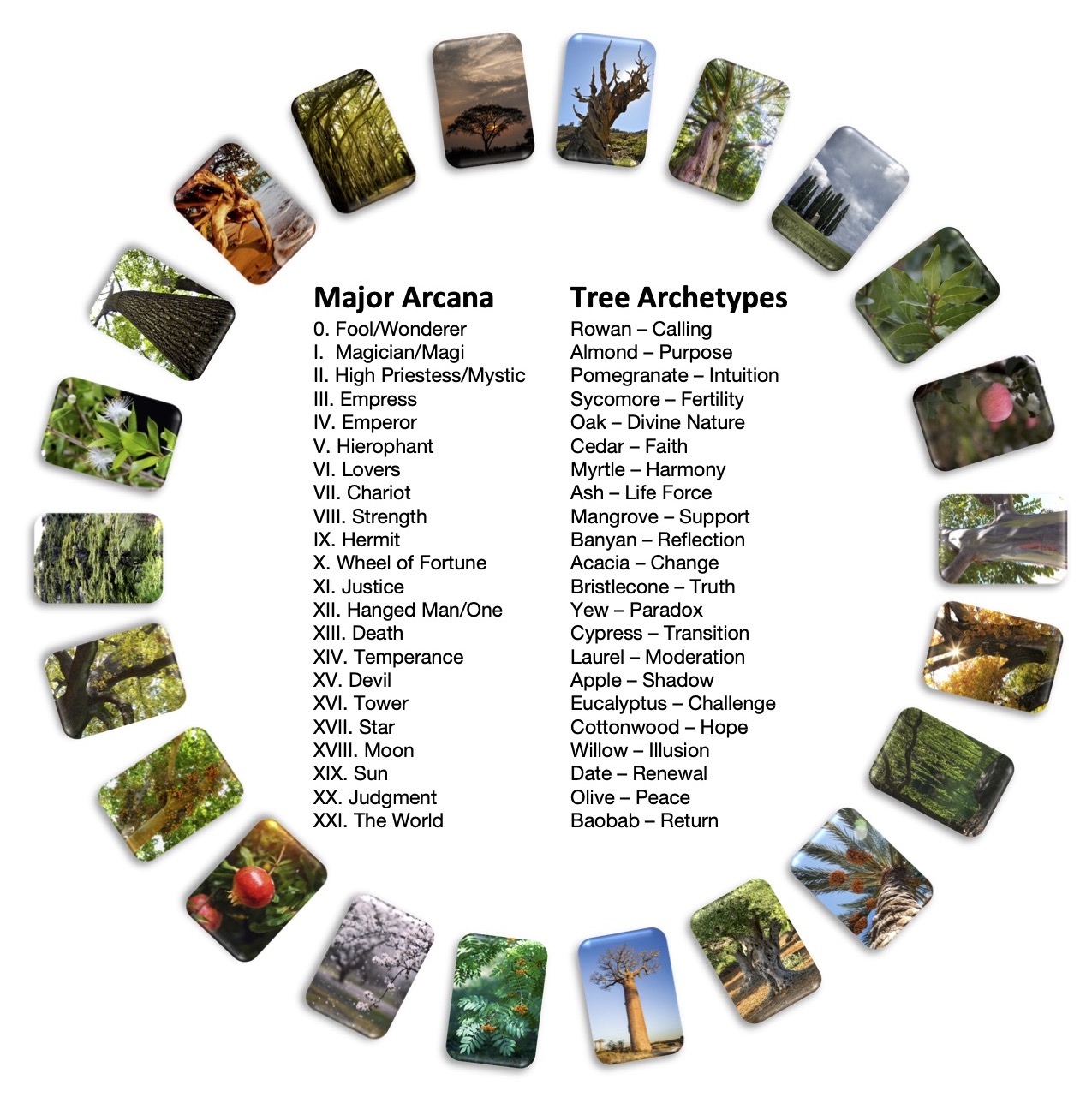 Tree Spirit Tarot – Tree Spirit Wisdom